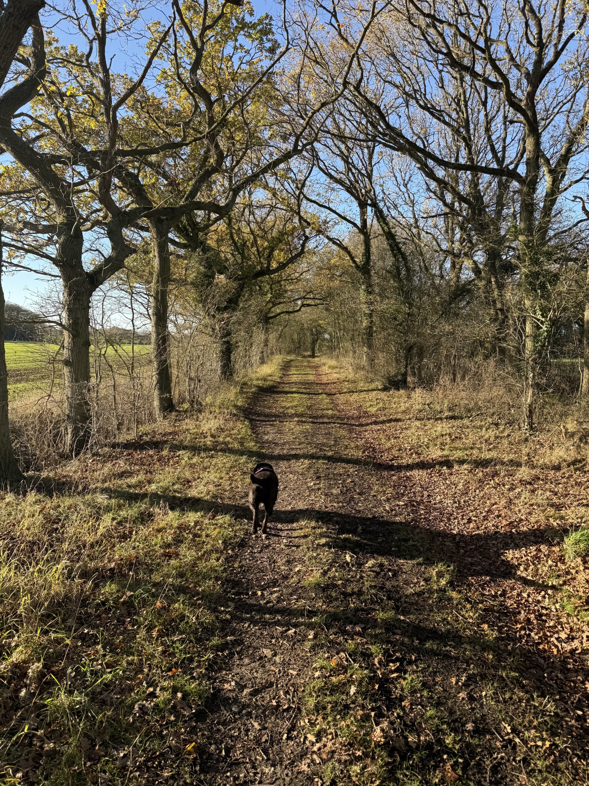 Discover More launched with Suffolk Libraries - Suffolk Mind